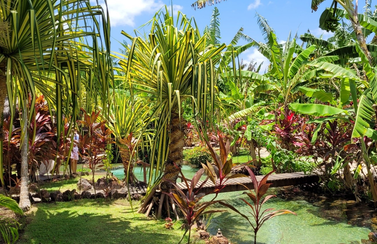 Rio Catolé: um refúgio natural em Pureza, Rio Grande do Norte - Clube ...